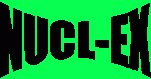 gruppo NUCL-EX